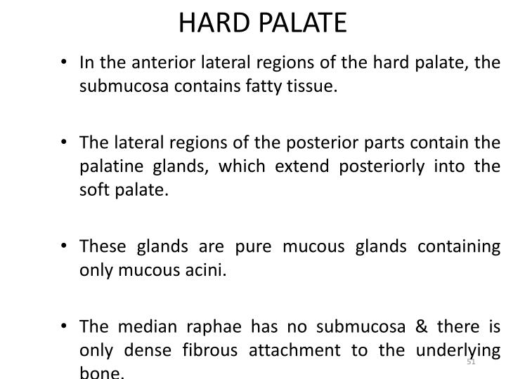 PPT - ORAL MUCOUS MEMBRANE PowerPoint Presentation - ID:1315384