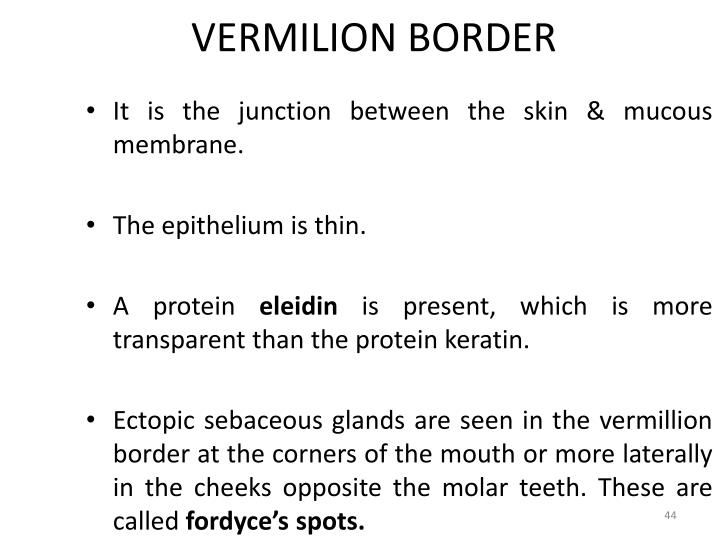PPT - ORAL MUCOUS MEMBRANE PowerPoint Presentation - ID:1315384