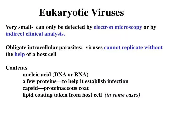 PPT - Eukaryotic Viruses PowerPoint Presentation, free download - ID ...