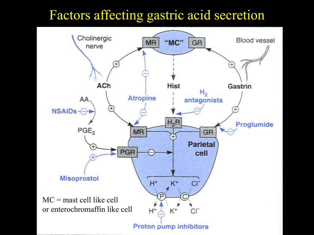 PPT - Gastric Acid Modifiers or Gastric Acid Suppression (GAS ...