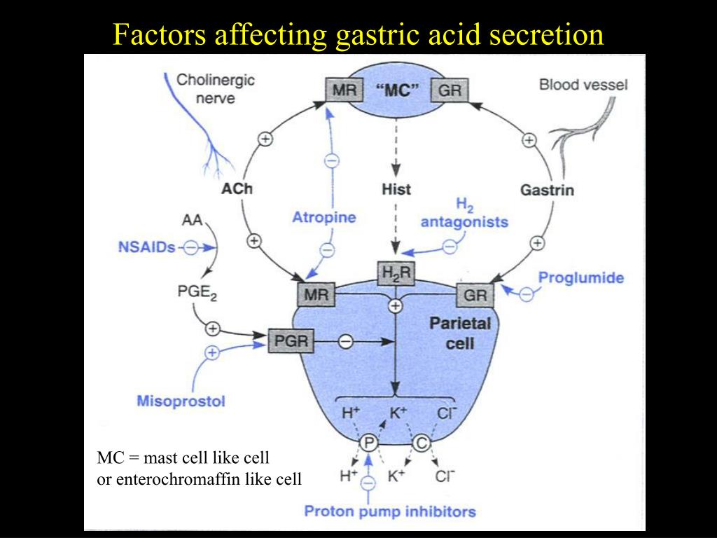 PPT - Gastric Acid Modifiers or Gastric Acid Suppression (GAS ...