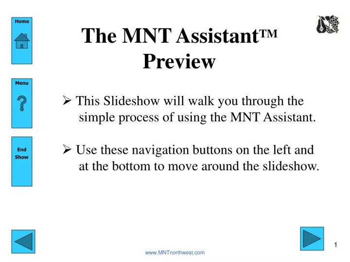 PPT - The MNT Assistant TM Preview PowerPoint Presentation, free ...