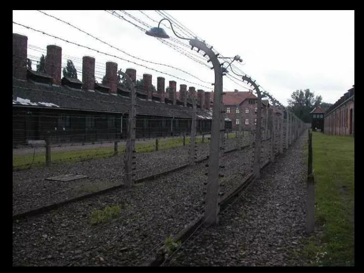 PPT - AUSCHWITZ PowerPoint Presentation, free download - ID:1316604