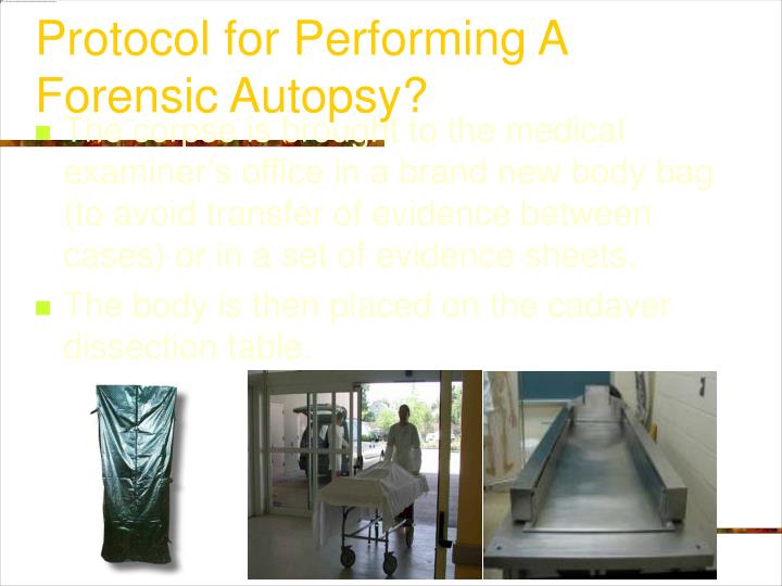 Ppt Why Is A Forensic Autopsy Preformed Powerpoint
