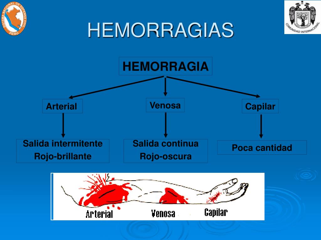 PPT - PRIMEROS AUXILIOS NIVEL BÁSICO PowerPoint Presentation, free ...