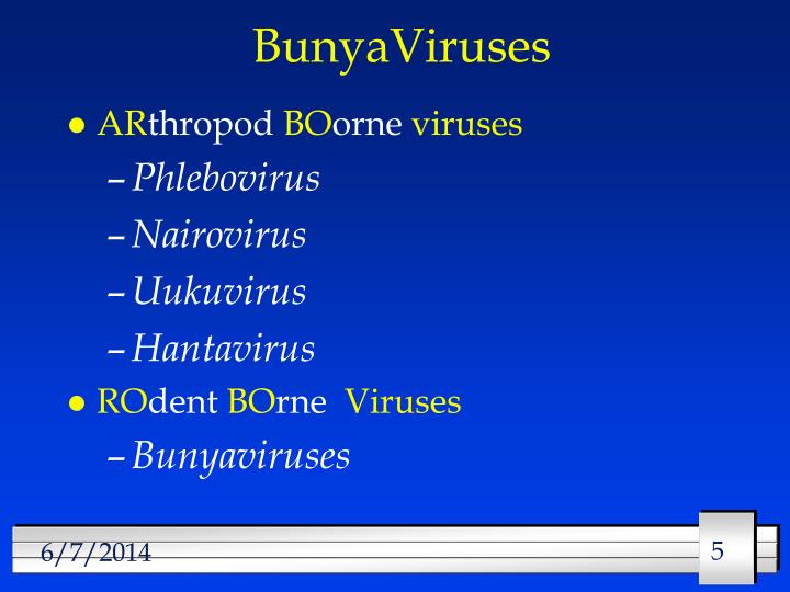 PPT - Bunyaviridae PowerPoint Presentation - ID:1318160