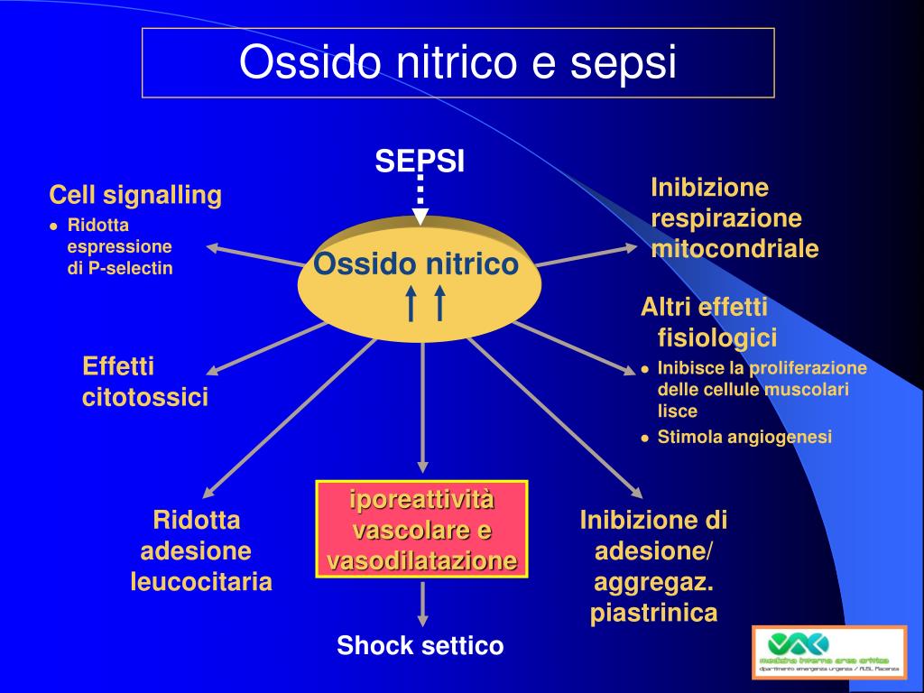 PPT - Fisiopatologia della sepsi dall’infiammazione al danno d’organo ...