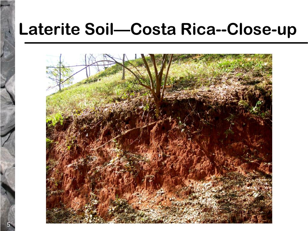 PPT - Lesson 2: Soils and Aggregates PowerPoint Presentation, free ... PPT - Lesson 2: Soils and Aggregates PowerPoint Presentation, free ...