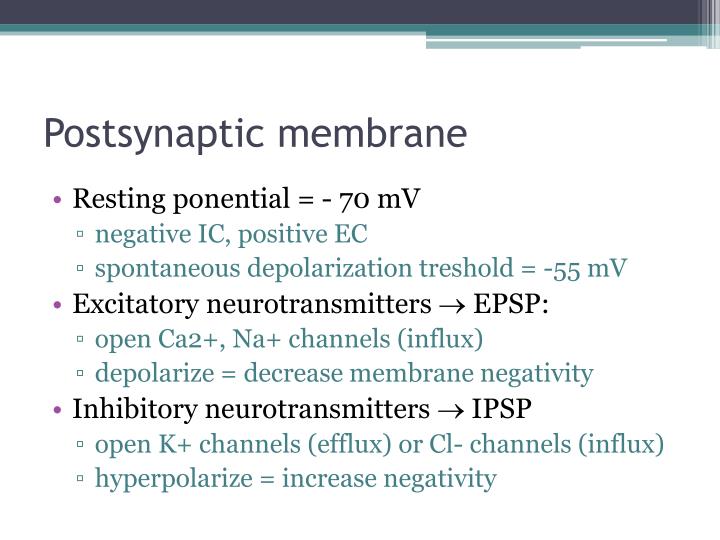 PPT - Neurotransmitters PowerPoint Presentation - ID:1322212