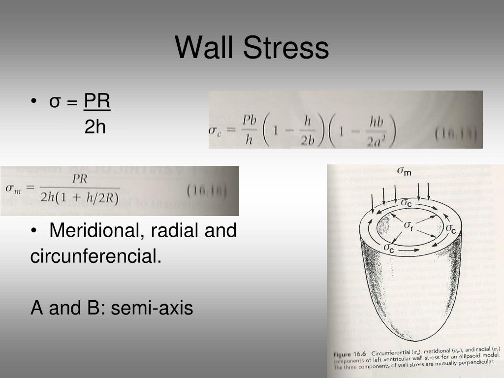 PPT - VENTRICULAR VOLUMES EJECTION FRACTION MASS WALL STRESS REGIONAL ...