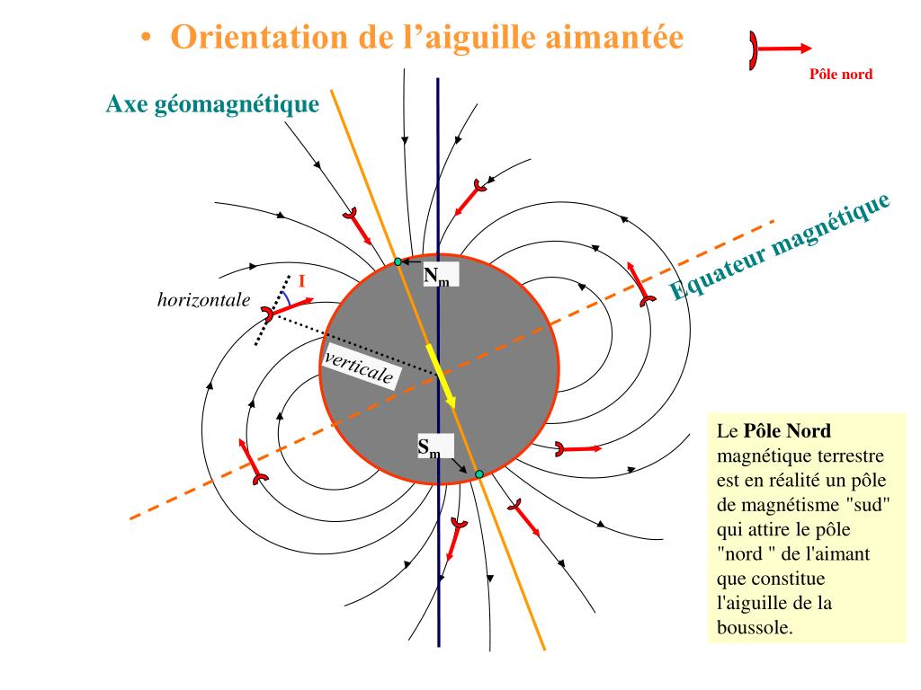PPT - LE CHAMP MAGNETIQUE TERRESTRE PowerPoint Presentation, free ...