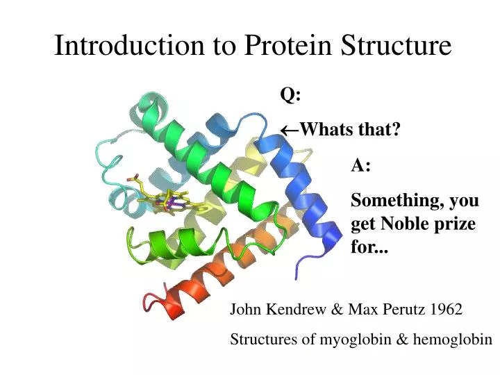 PPT - Introduction to Protein Structure PowerPoint Presentation, free ...