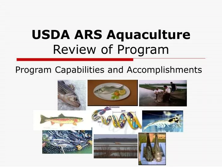 PPT - USDA ARS Aquaculture Review of Program PowerPoint Presentation ...