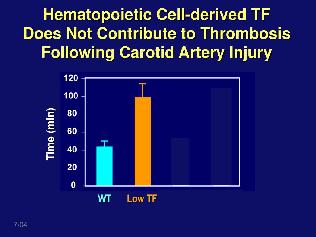 Ppt Molecular Events In Thrombosis Powerpoint Presentation Free
