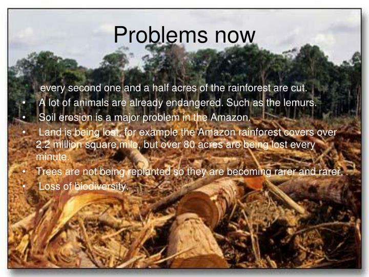 PPT - Deforestation In the Amazon Rainforest PowerPoint Presentation - ID:1327965