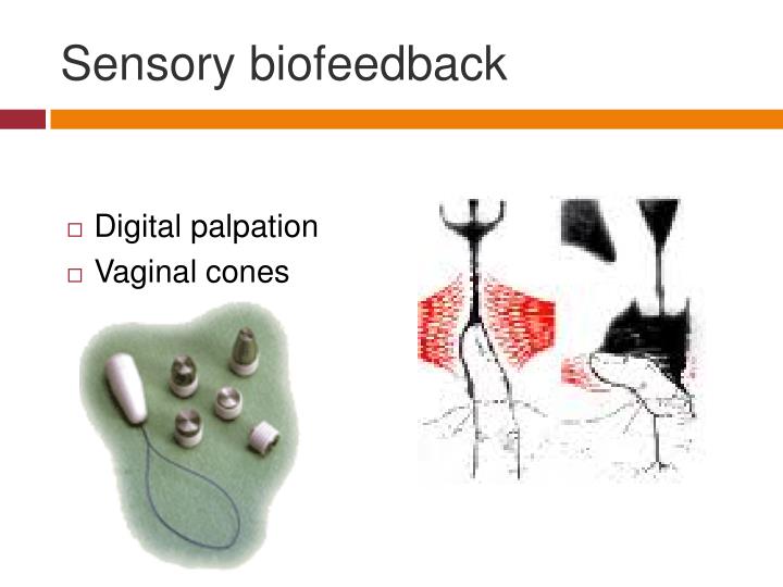 PPT - Biofeedback therapy in pelvic floor disorders PowerPoint ...