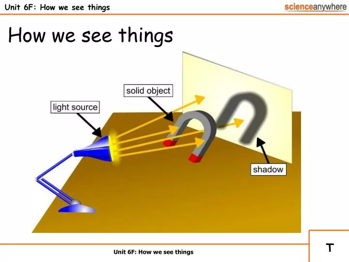 PPT - Unit 6F: How we see things PowerPoint Presentation, free download ...
