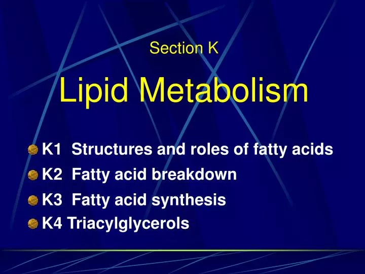 PPT - Section K Lipid Metabolism PowerPoint Presentation, free download ...