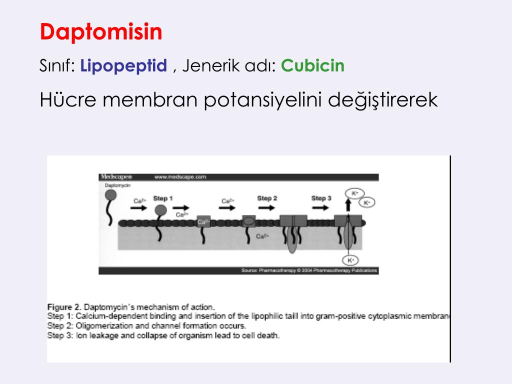 PPT - KLİNİK MİKROBİYOLOJİDE ANTİBİYOTİK KULLANIMI PowerPoint ...