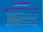 PPT - ULKUS MOLE PowerPoint Presentation - ID:1336992
