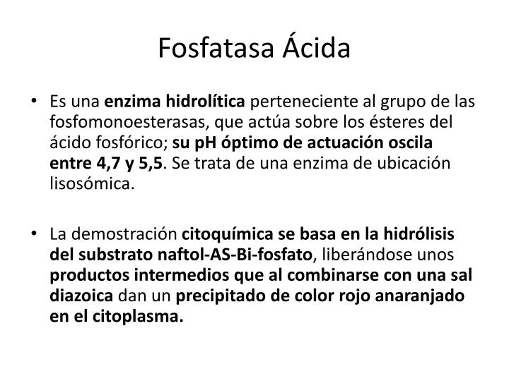 PPT - Serie Blanca: Morfolo gía y Citoquímica PowerPoint Presentation ...