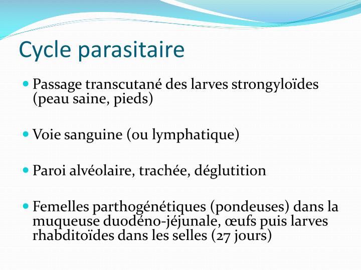PPT - ANGUILLULOSE MALIGNE PowerPoint Presentation - ID:1338284