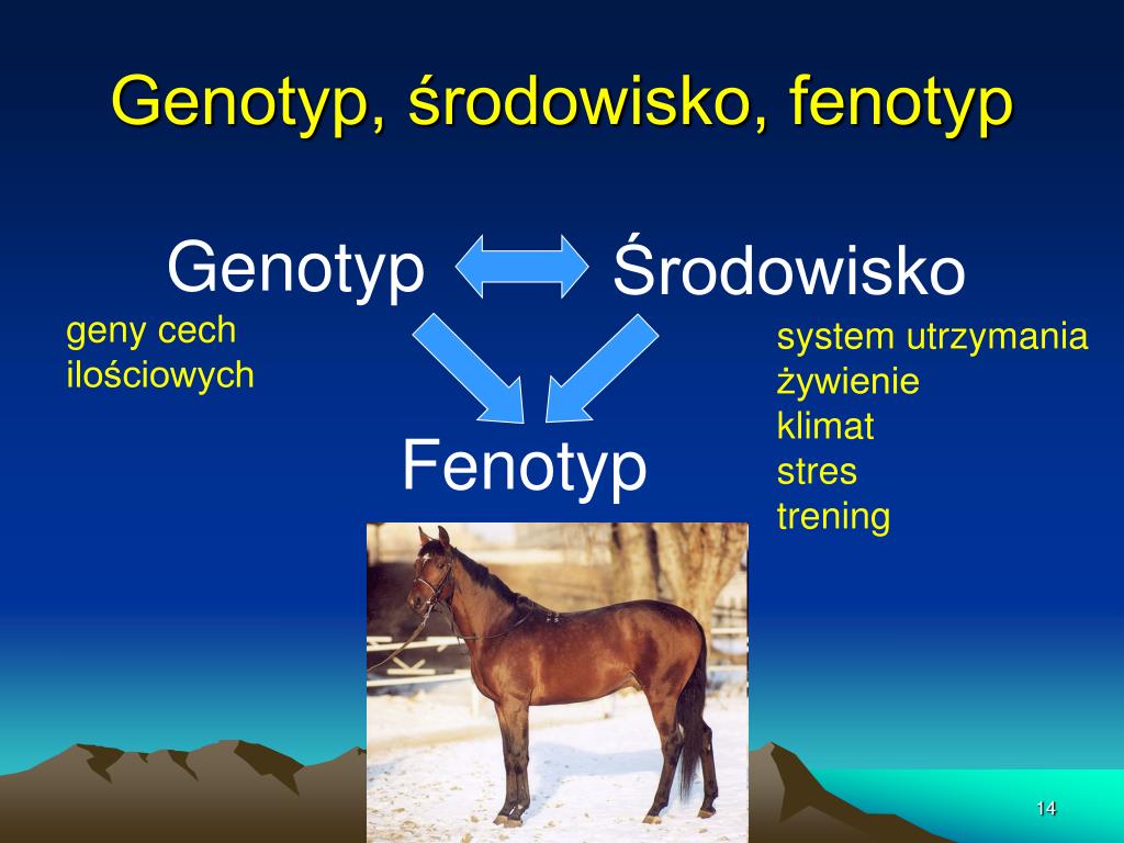 PPT - Praktyczne wykorzystanie wiedzy z zakresu genetyki cech ...