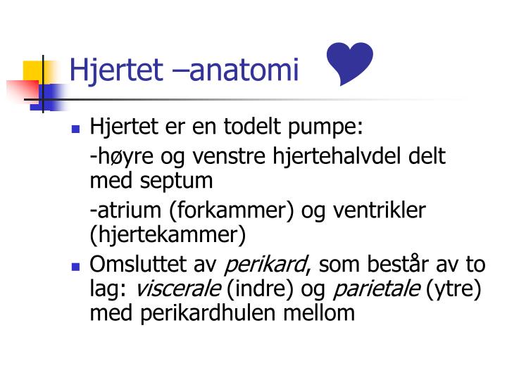 PPT - Sirkulasjon PowerPoint Presentation - ID:1339542