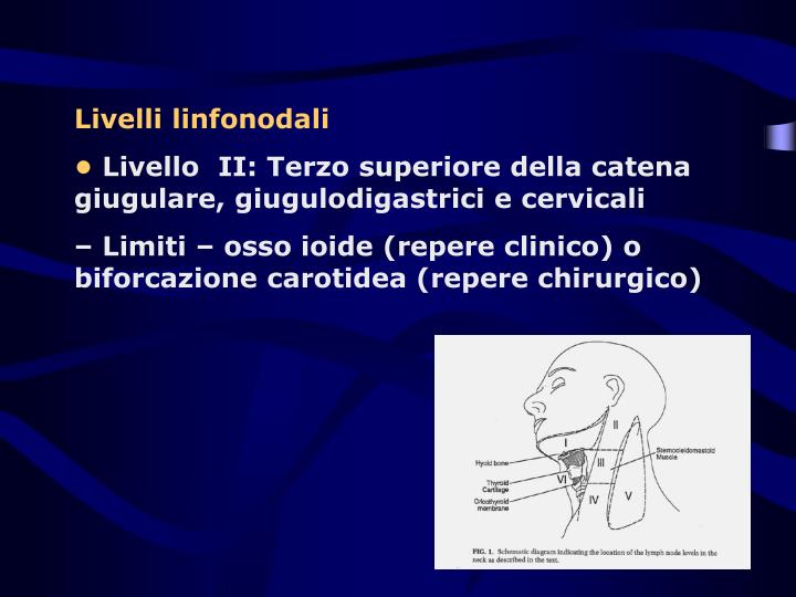 PPT - LINFOADENECTOMIE DEL COLLO Dott. Lorenzo Mori Divisione di ...