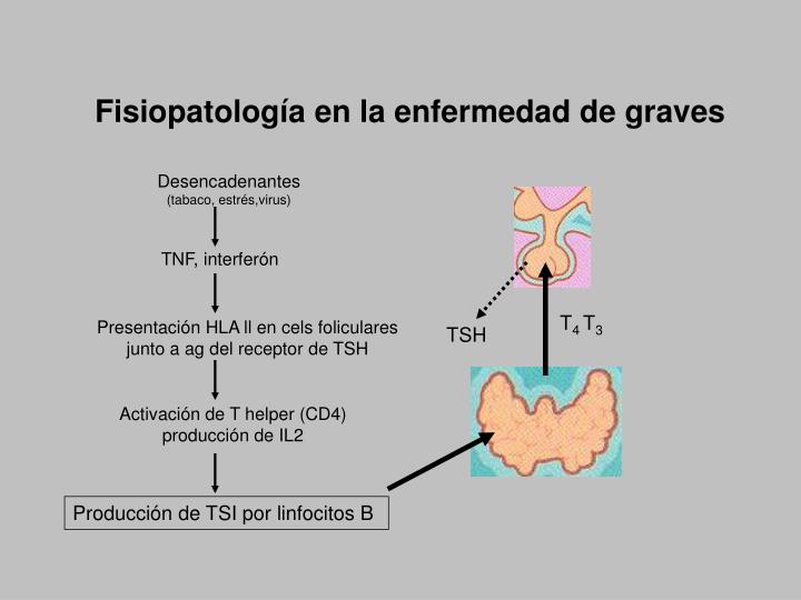 PPT - FISIOPATOLOGIA TIROIDEA BOCIO HIPERFUNCIÓN TIROIDEA HIPOFUNCION ...