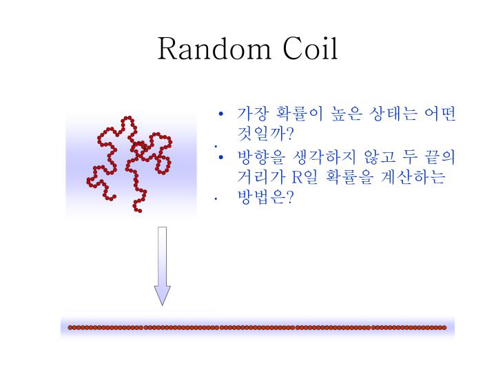 PPT - 사슬의 크기 (chain dimension) PowerPoint Presentation - ID:1342693