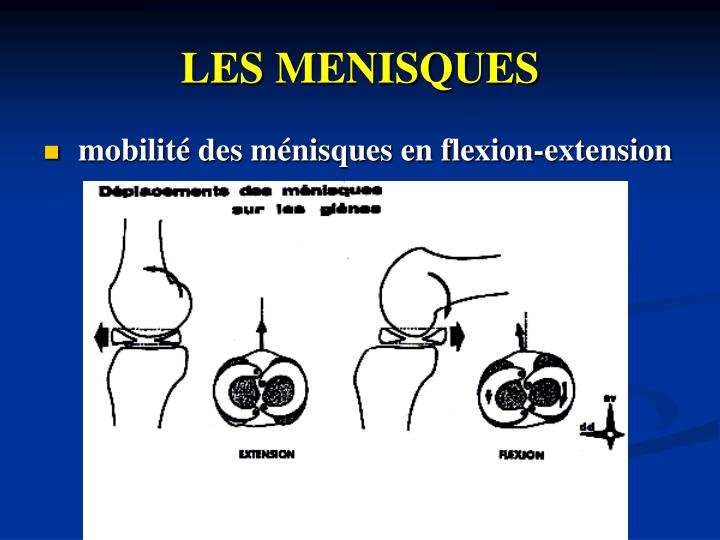 PPT - Biomécanique du Genou PowerPoint Presentation - ID:1343549