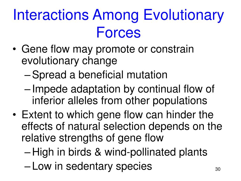 PPT - Genes Within Populations PowerPoint Presentation, free download ...