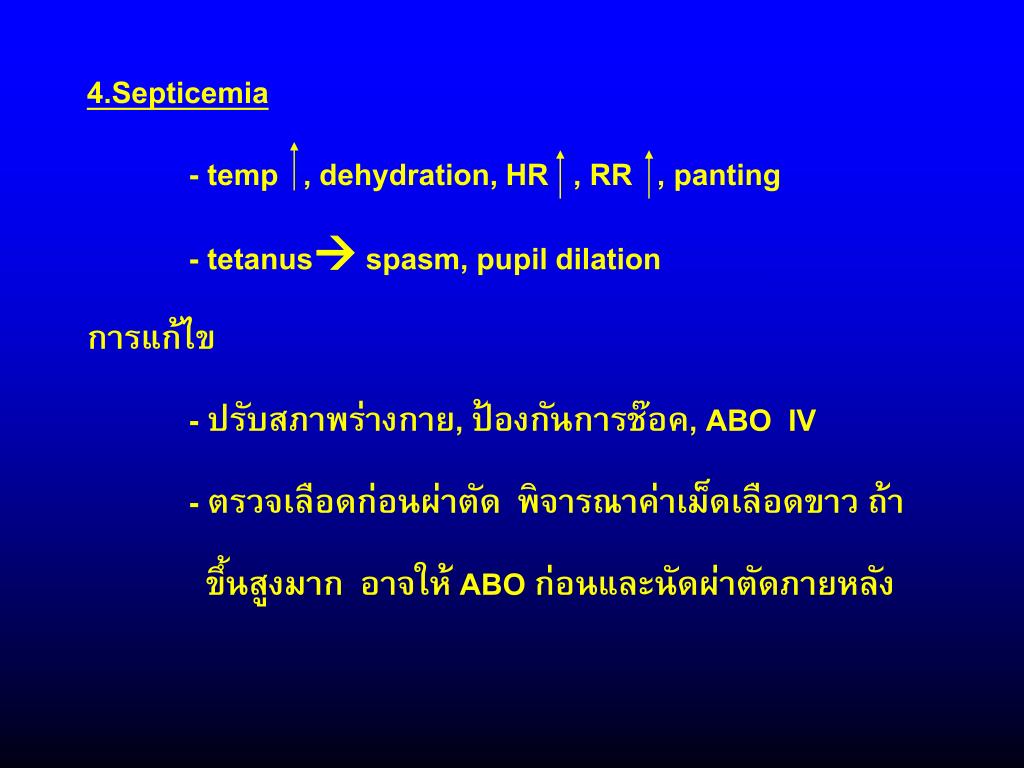 PPT - Principles in Bovine surgery PowerPoint Presentation, free ...