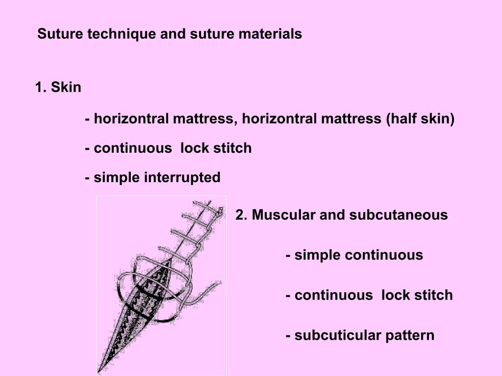 PPT - Principles in Bovine surgery PowerPoint Presentation, free ...