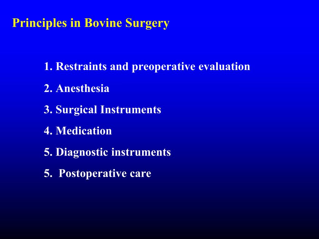 PPT - Principles in Bovine surgery PowerPoint Presentation, free ...
