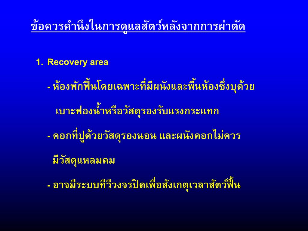 PPT - Principles in Bovine surgery PowerPoint Presentation, free ...