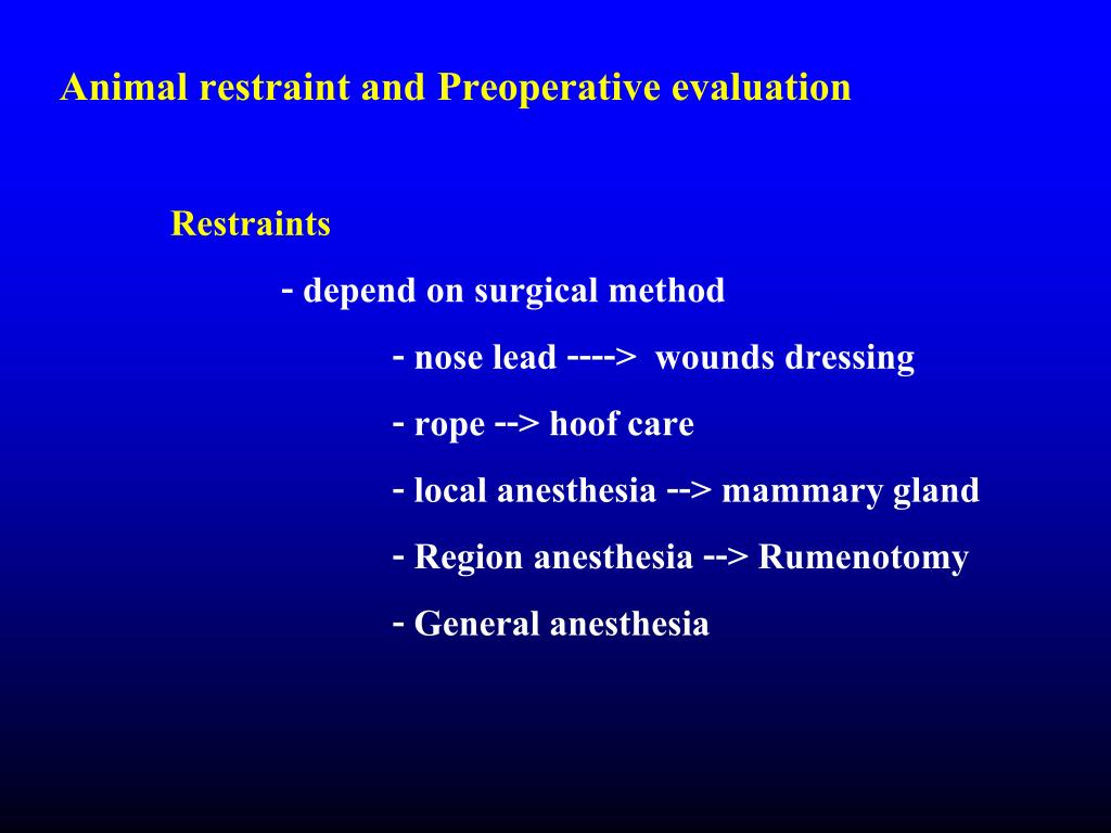 PPT - Principles in Bovine surgery PowerPoint Presentation, free ...