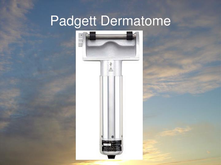 PPT - Skin Grafts PowerPoint Presentation - ID:134761