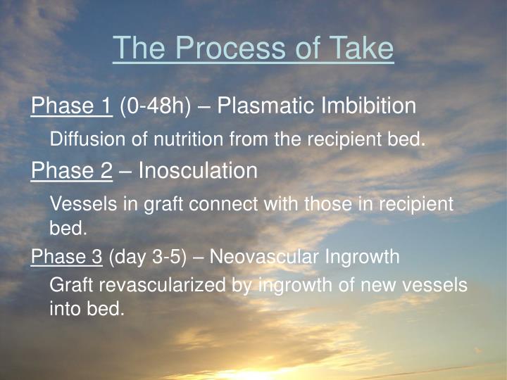 PPT - Skin Grafts PowerPoint Presentation - ID:134761