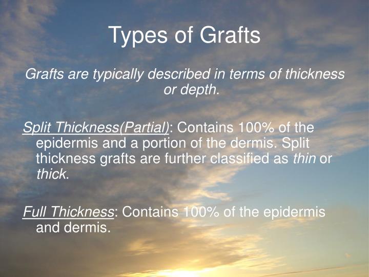 PPT - Skin Grafts PowerPoint Presentation - ID:134761