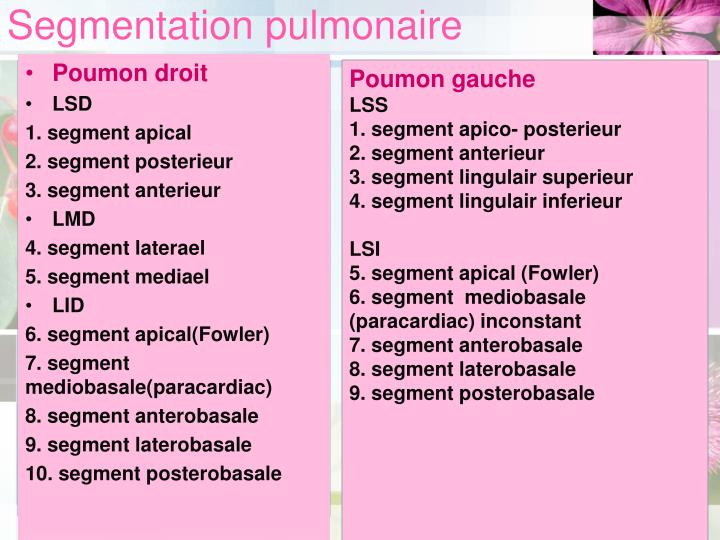 PPT - La radiographie toracique? PowerPoint Presentation - ID:1350468