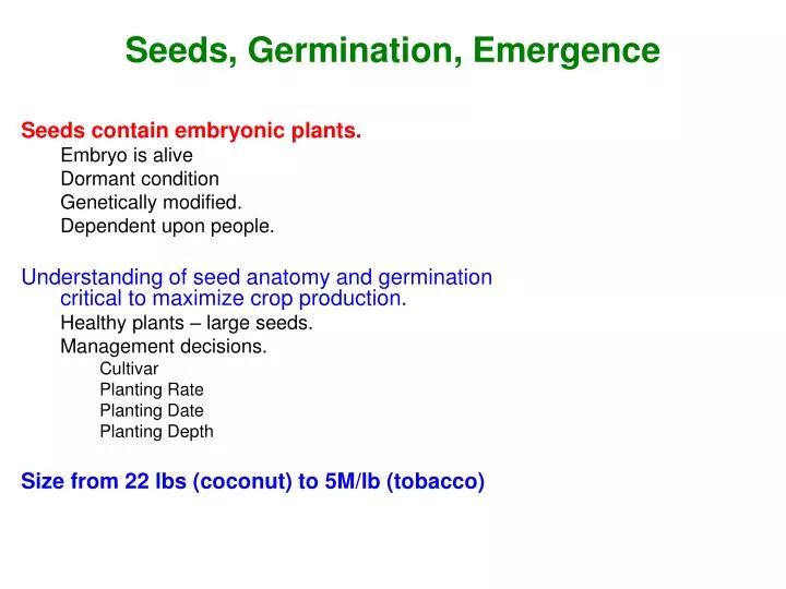 PPT - Seeds, Germination, Emergence PowerPoint Presentation, free ...