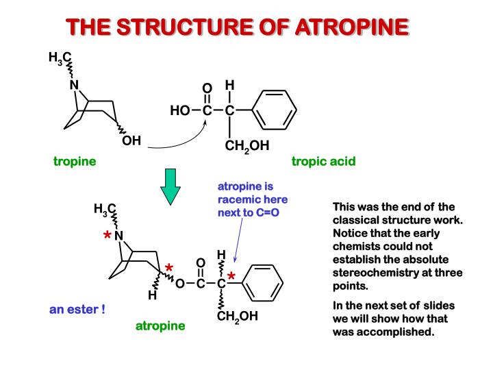 PPT - ATROPINE PowerPoint Presentation - ID:1352498