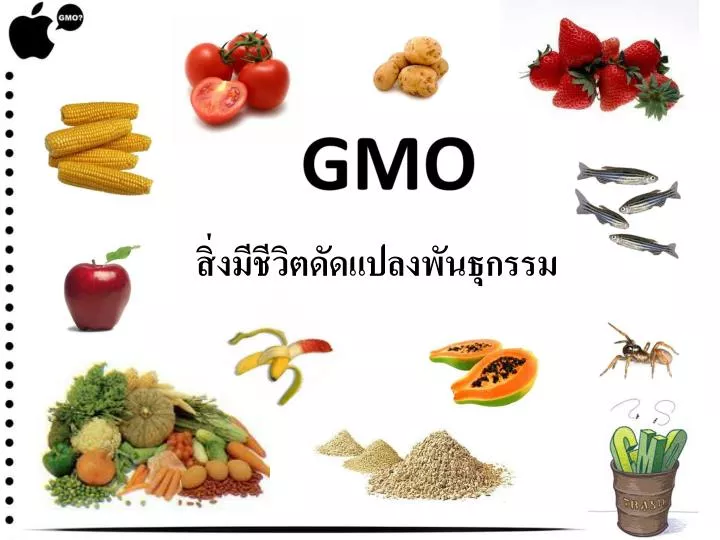 PPT - GMO PowerPoint Presentation, free download - ID:1355374