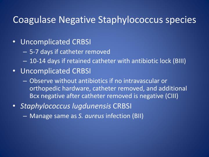 PPT - Sepsis & Bacteremia PowerPoint Presentation - ID:1355988