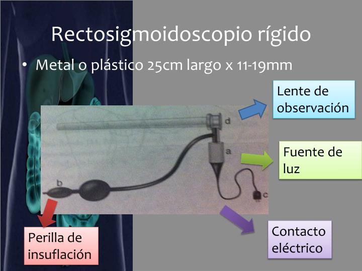 PPT - TACTO RECTAL PowerPoint Presentation - ID:1356253