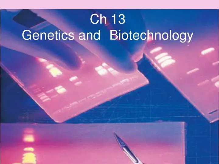 PPT - Ch 13 Genetics and Biotechnology PowerPoint Presentation, free ...
