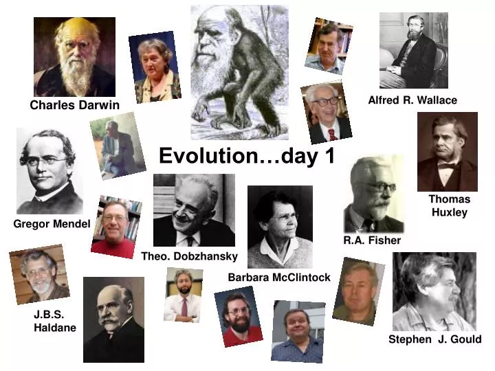 PPT - Evolution…day 1 PowerPoint Presentation, free download - ID:1357336