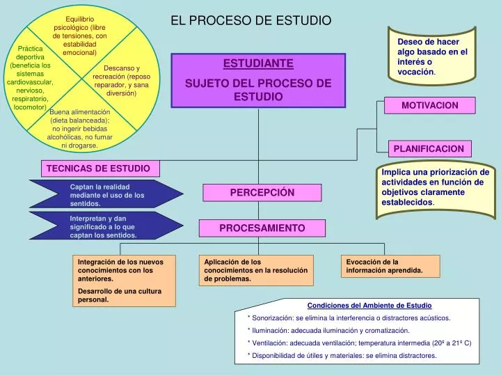 PPT - EL PROCESO DE ESTUDIO PowerPoint Presentation, free download - ID ...